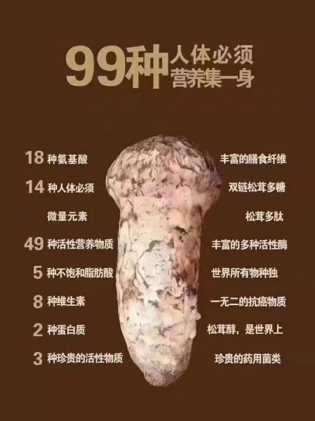 黑松茸价格多少钱一斤_黑松茸怎么做好吃-第2张图片-山城妙识