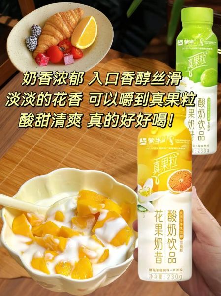 蒙牛大果粒酸奶多少钱一箱_蒙牛大果粒酸奶好喝吗-第2张图片-山城妙识