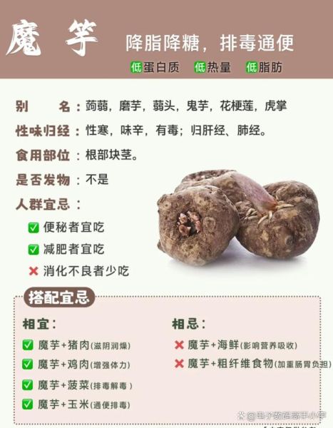 魔芋能减肥吗_魔芋的功效与作用-第2张图片-山城妙识 魔芋能减肥吗_魔芋的功效与作用-第2张图片-山城妙识