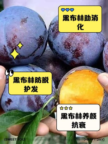 黑布林是热性还是凉性_黑布林吃多了会上火吗-第3张图片-山城妙识