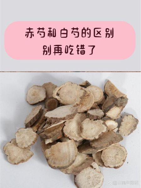 赤芍药的功效与作用_赤芍药与白芍的区别-第3张图片-山城妙识