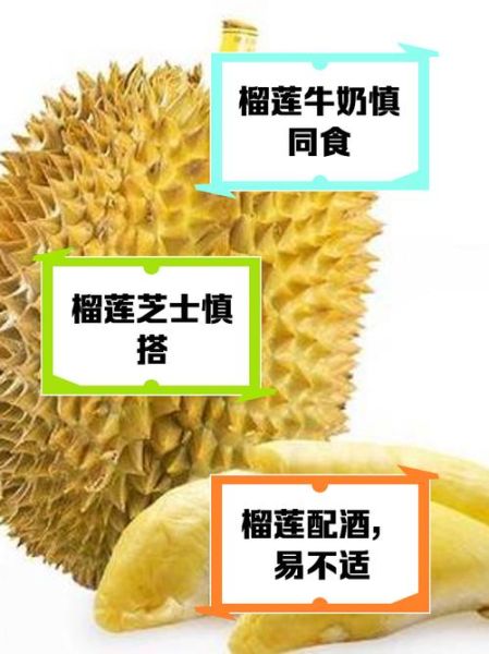 榴莲的功效与作用禁忌_孕妇能吃吗-第2张图片-山城妙识