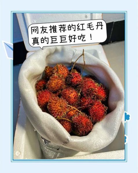 红毛丹怎么吃_红毛丹上火吗-第2张图片-山城妙识