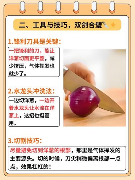 洋葱怎么切不辣眼睛_洋葱图片大全-第2张图片-山城妙识