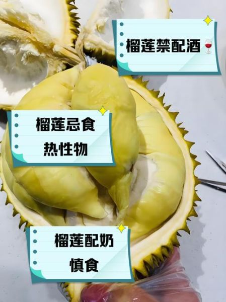 榴莲的功效与作用禁忌_孕妇能吃吗-第1张图片-山城妙识