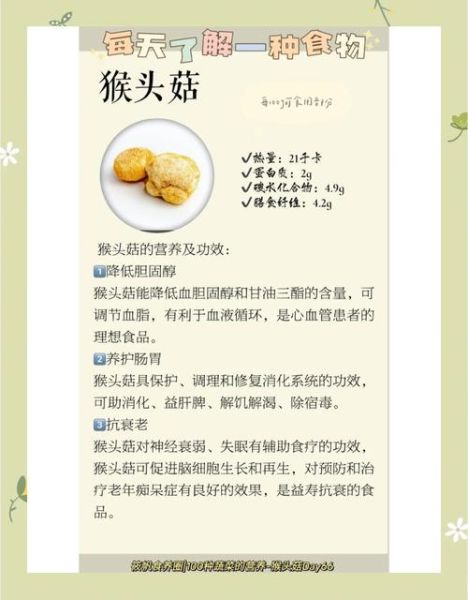 鲜猴头菇的功效与作用_怎么吃最养胃-第1张图片-山城妙识 鲜猴头菇的功效与作用_怎么吃最养胃-第1张图片-山城妙识