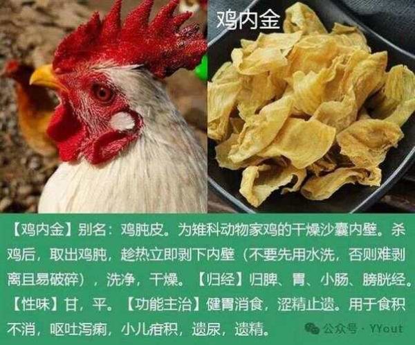 长期消化不良怎么办_民间偏方真的有效吗-第3张图片-山城妙识