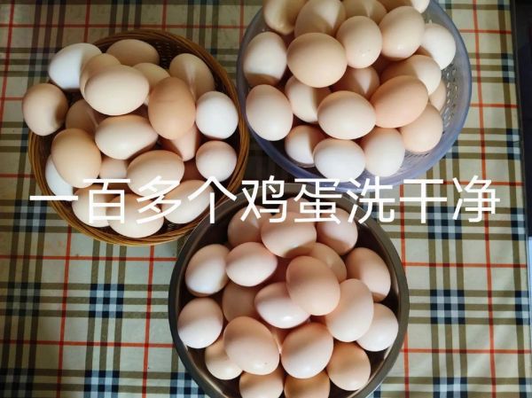 腌制鸡蛋怎么做_腌制鸡蛋保存多久-第2张图片-山城妙识