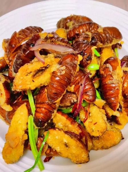 蚕蛹怎么炒好吃_蚕蛹炒多久才熟-第1张图片-山城妙识 蚕蛹怎么炒好吃_蚕蛹炒多久才熟-第1张图片-山城妙识