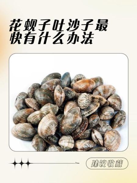 蛤蜊怎么吐沙干净_如何让蛤蜊彻底吐沙-第1张图片-山城妙识