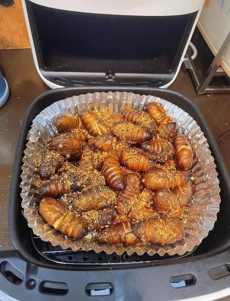 椒盐蚕蛹怎么做_椒盐蚕蛹怎么炸才酥脆-第1张图片-山城妙识
