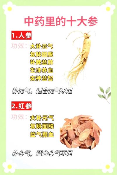 人参吃了多久见效_人参真实感受分享-第1张图片-山城妙识