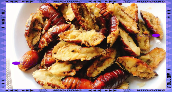 椒盐蚕蛹怎么做_椒盐蚕蛹怎么炸才酥脆-第2张图片-山城妙识