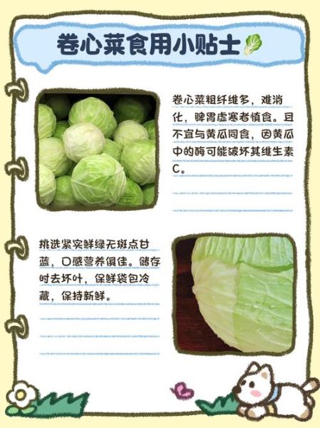 卷心菜和包菜的区别_卷心菜与包菜图片怎么区分-第3张图片-山城妙识