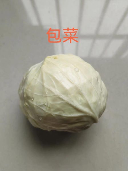 卷心菜和包菜的区别_卷心菜与包菜图片怎么区分-第2张图片-山城妙识
