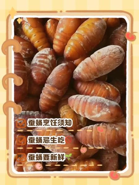 蚕蛹的功效与作用及禁忌_蚕蛹怎么吃才安全-第2张图片-山城妙识 蚕蛹的功效与作用及禁忌_蚕蛹怎么吃才安全-第2张图片-山城妙识