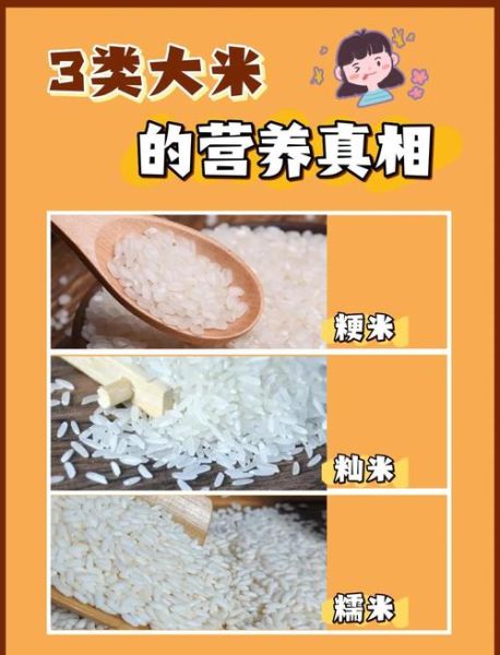 籼米粳米糯米的区别_哪个更适合做米饭-第1张图片-山城妙识