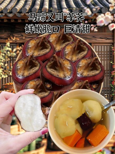 荸荠是什么东西_荸荠怎么吃最好-第1张图片-山城妙识 荸荠是什么东西_荸荠怎么吃最好-第1张图片-山城妙识