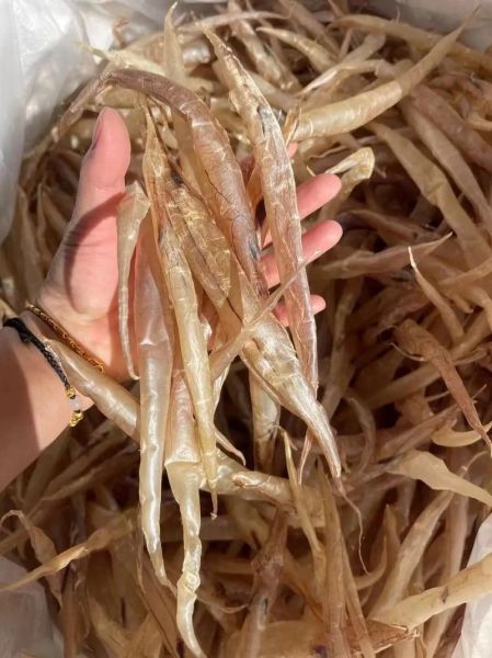 鳗鱼胶的功效与作用_鳗鱼胶适合什么人吃-第3张图片-山城妙识
