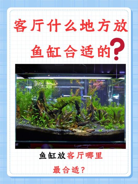 家里养什么鱼最旺财_风水鱼缸怎么摆-第1张图片-山城妙识
