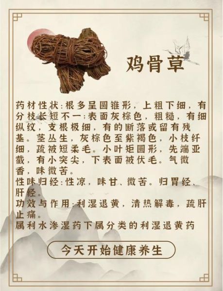 鸡骨草的功效与作用_鸡骨草怎么吃才安全-第2张图片-山城妙识