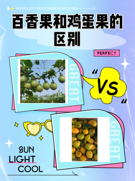 鸡蛋果是百香果吗_鸡蛋果和百香果的区别-第1张图片-山城妙识 鸡蛋果是百香果吗_鸡蛋果和百香果的区别-第1张图片-山城妙识