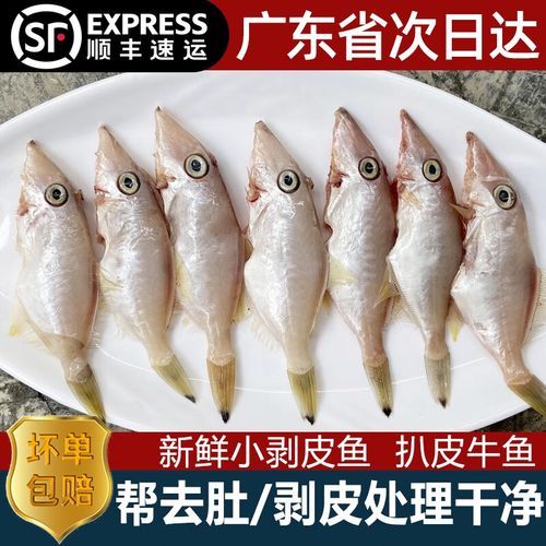 耗儿鱼是海鱼吗_耗儿鱼产地在哪里-第3张图片-山城妙识 耗儿鱼是海鱼吗_耗儿鱼产地在哪里-第3张图片-山城妙识