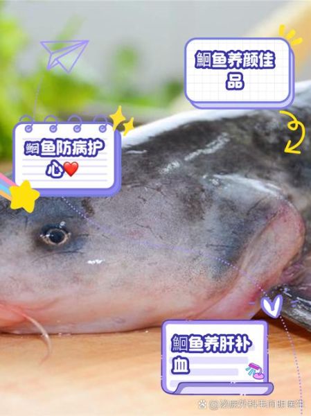 鮰鱼为什么不让多吃_鮰鱼吃多了有什么危害-第2张图片-山城妙识 鮰鱼为什么不让多吃_鮰鱼吃多了有什么危害-第2张图片-山城妙识