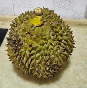 榴莲开一半连壳能放几天_榴莲带壳保存方法-第1张图片-山城妙识 榴莲开一半连壳能放几天_榴莲带壳保存方法-第1张图片-山城妙识
