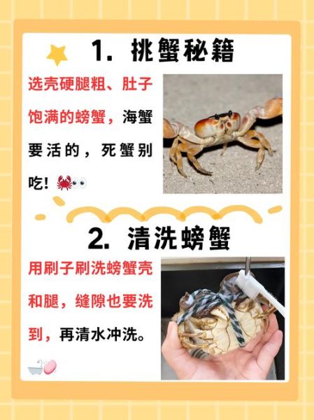 螃蟹怎么吃图解步骤_蒸螃蟹几分钟最佳-第2张图片-山城妙识 螃蟹怎么吃图解步骤_蒸螃蟹几分钟最佳-第2张图片-山城妙识