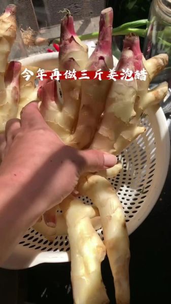 糖醋鲜姜怎么腌制_糖醋鲜姜腌制多久可以吃-第2张图片-山城妙识 糖醋鲜姜怎么腌制_糖醋鲜姜腌制多久可以吃-第2张图片-山城妙识