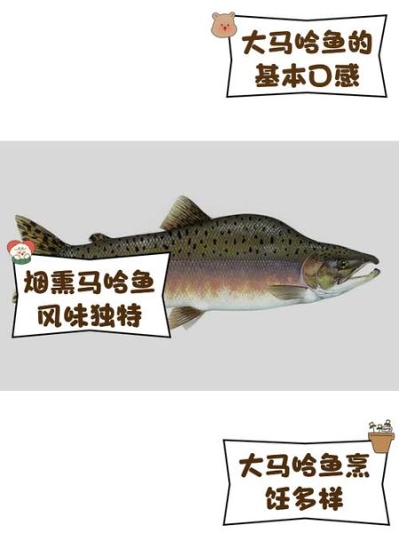 马哈鱼怎么做好吃_马哈鱼营养价值高吗-第1张图片-山城妙识 马哈鱼怎么做好吃_马哈鱼营养价值高吗-第1张图片-山城妙识