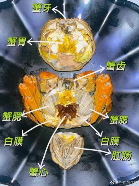 螃蟹哪些部位不能吃_螃蟹不能吃的部位图片-第1张图片-山城妙识 螃蟹哪些部位不能吃_螃蟹不能吃的部位图片-第1张图片-山城妙识