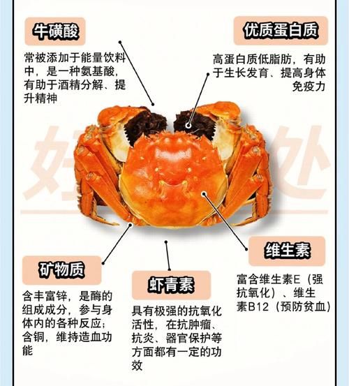 螃蟹哪些部位不能吃_螃蟹不能吃的部位图片-第3张图片-山城妙识 螃蟹哪些部位不能吃_螃蟹不能吃的部位图片-第3张图片-山城妙识