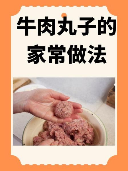 怎样做的肉丸子松软_为什么肉丸子不松软-第2张图片-山城妙识