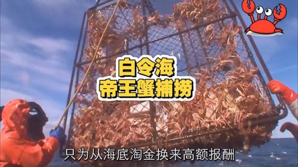 阿拉斯加帝王蟹捕蟹人工资_危险吗-第1张图片-山城妙识 阿拉斯加帝王蟹捕蟹人工资_危险吗-第1张图片-山城妙识