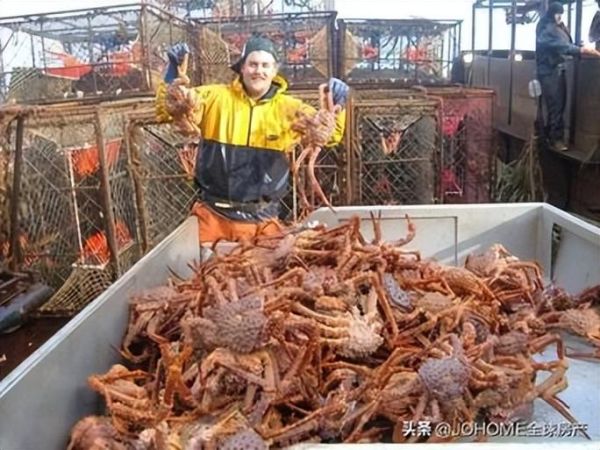 阿拉斯加帝王蟹捕蟹人工资_危险吗-第2张图片-山城妙识 阿拉斯加帝王蟹捕蟹人工资_危险吗-第2张图片-山城妙识