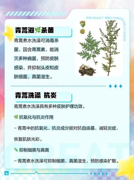 青蒿的功效与作用有哪些_青蒿能治疗哪些疾病-第3张图片-山城妙识 青蒿的功效与作用有哪些_青蒿能治疗哪些疾病-第3张图片-山城妙识