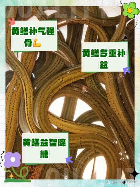 黄鳝的营养价值_黄鳝的功效与作用-第1张图片-山城妙识 黄鳝的营养价值_黄鳝的功效与作用-第1张图片-山城妙识