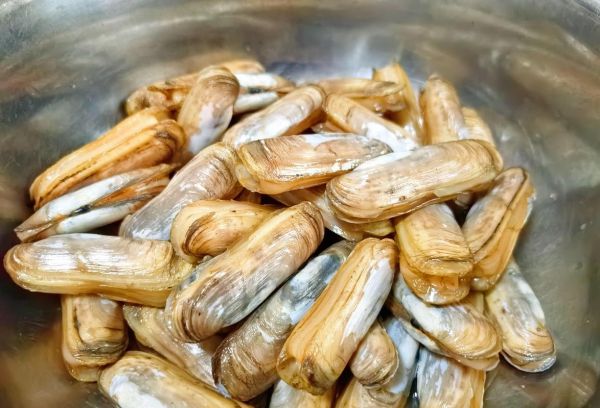 冷冻蛏子怎么清洗_冷冻蛏子清洗技巧-第3张图片-山城妙识 冷冻蛏子怎么清洗_冷冻蛏子清洗技巧-第3张图片-山城妙识