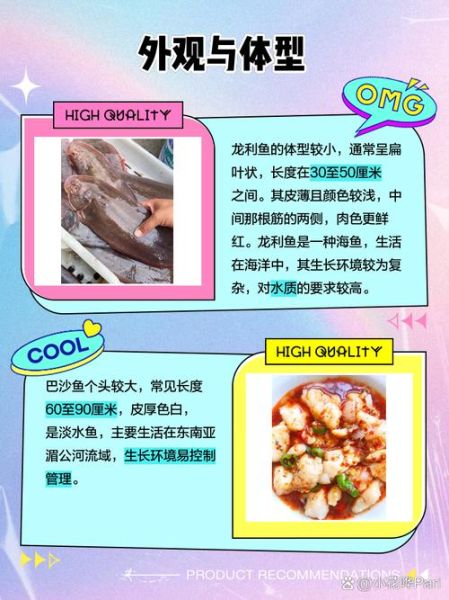 龙利鱼和巴沙鱼是一种鱼吗_龙利鱼与巴沙鱼的区别-第2张图片-山城妙识