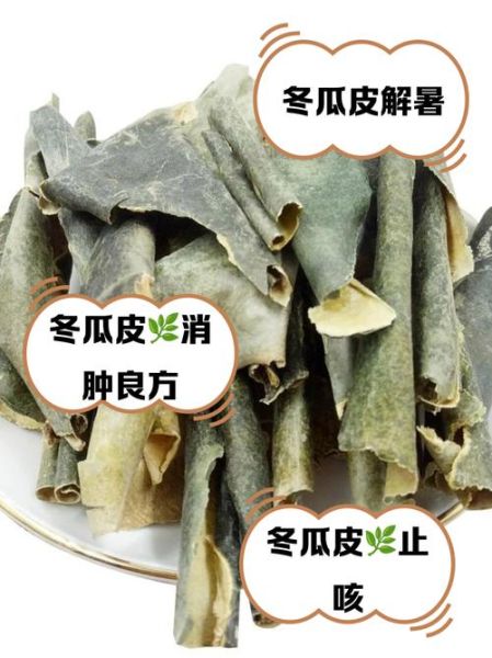 鲜冬瓜皮的功效与作用_鲜冬瓜皮可以减肥吗-第1张图片-山城妙识 鲜冬瓜皮的功效与作用_鲜冬瓜皮可以减肥吗-第1张图片-山城妙识