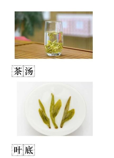 龙井茶的功效与作用_龙井茶哪些人不能喝-第1张图片-山城妙识 龙井茶的功效与作用_龙井茶哪些人不能喝-第1张图片-山城妙识