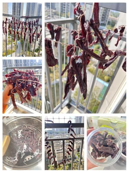 风干牛肉干怎么做_风干牛肉干需要腌制多久-第3张图片-山城妙识