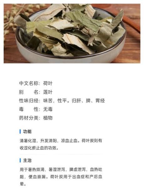 野山楂叶的功效与作用_野山楂叶怎么泡水喝-第3张图片-山城妙识 野山楂叶的功效与作用_野山楂叶怎么泡水喝-第3张图片-山城妙识