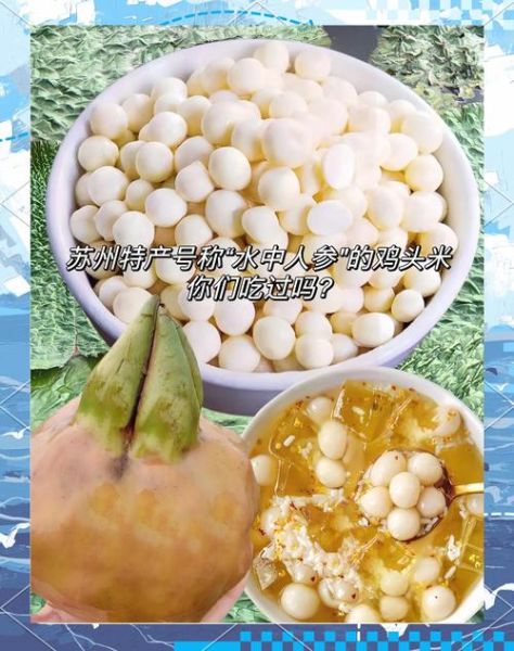 苏州鸡头米怎么保存_苏州鸡头米图片长什么样-第3张图片-山城妙识 苏州鸡头米怎么保存_苏州鸡头米图片长什么样-第3张图片-山城妙识