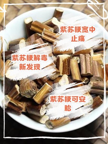 紫苏梗的功效与作用_紫苏梗的禁忌有哪些-第3张图片-山城妙识 紫苏梗的功效与作用_紫苏梗的禁忌有哪些-第3张图片-山城妙识