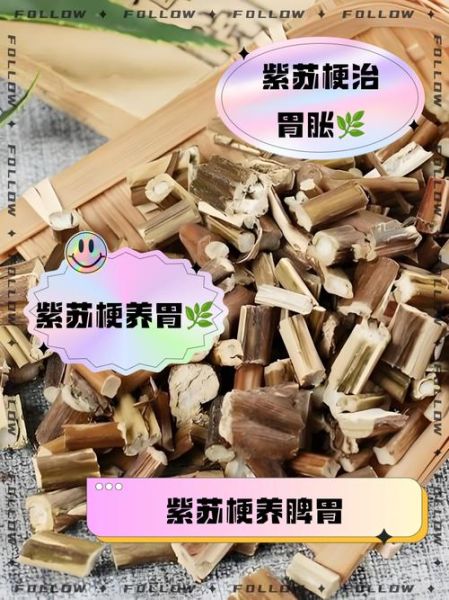 紫苏梗的功效与作用_紫苏梗的禁忌有哪些-第2张图片-山城妙识 紫苏梗的功效与作用_紫苏梗的禁忌有哪些-第2张图片-山城妙识