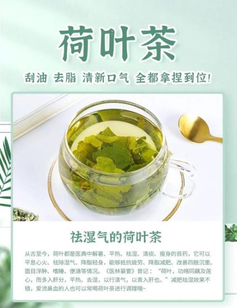 荷叶茶一天喝多少有效_荷叶茶喝多久能减肥-第2张图片-山城妙识 荷叶茶一天喝多少有效_荷叶茶喝多久能减肥-第2张图片-山城妙识