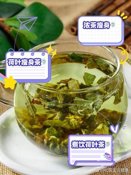 荷叶茶一天喝多少有效_荷叶茶喝多久能减肥-第3张图片-山城妙识 荷叶茶一天喝多少有效_荷叶茶喝多久能减肥-第3张图片-山城妙识